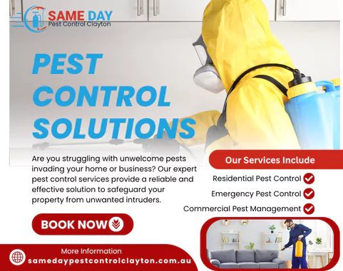 Pest Control Clayton - Same Day Expert Pest Solutions